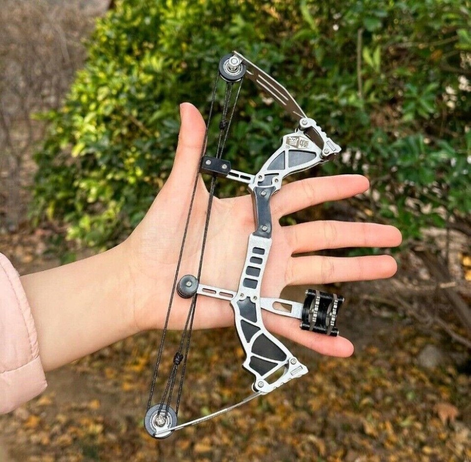 9.5" Mini Compound Bow and Arrows Set 12lbs Archery Mini Compound Bow ...