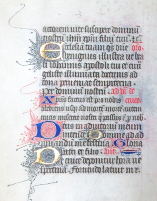European - Illuminated Manuscript On Vellum
