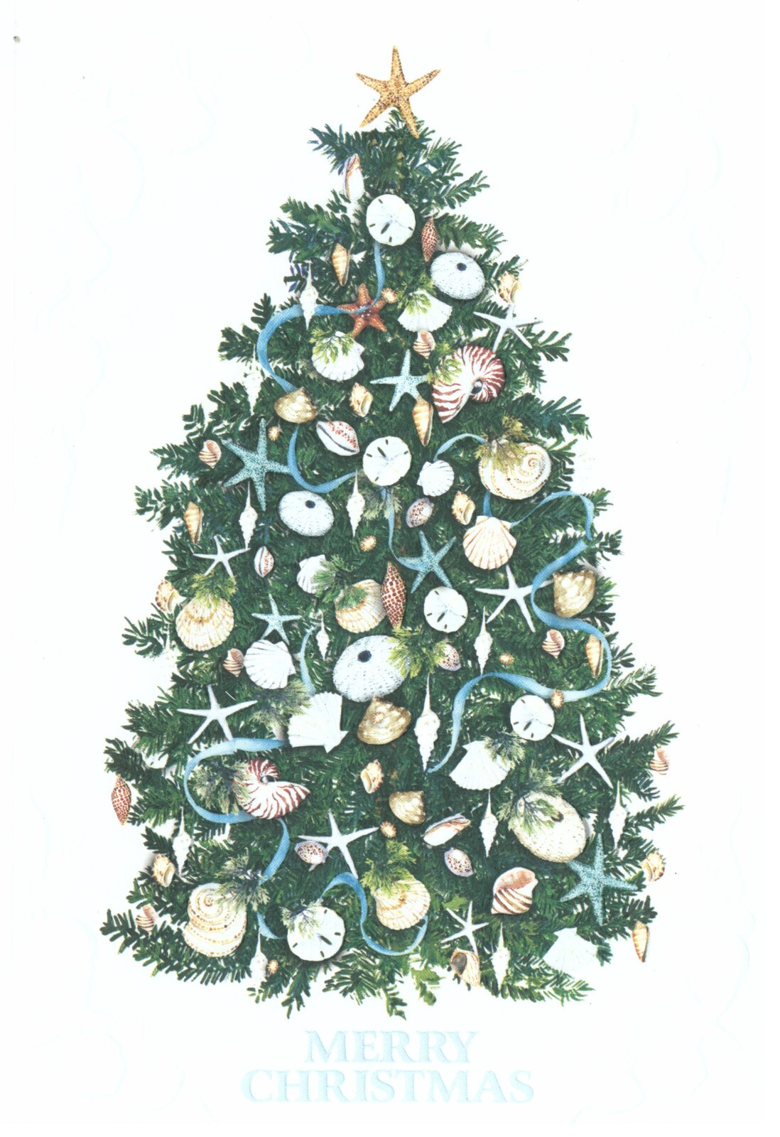 16 Embossed Boxed Christmas Cards Tropical Coastal Tree Seashells ...