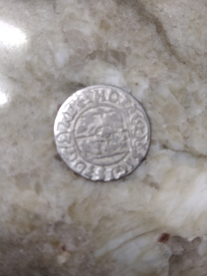 (1) Coin-1600's Poland King Sigismund III House of Vala Silver 1/24 ...
