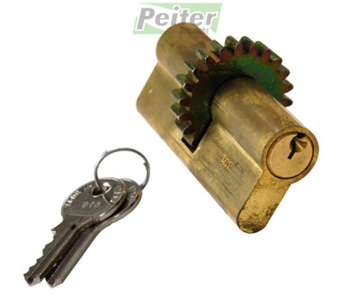 A cylinder lock with 2 keys to unlock Faac 760 underground motor | eBay UK