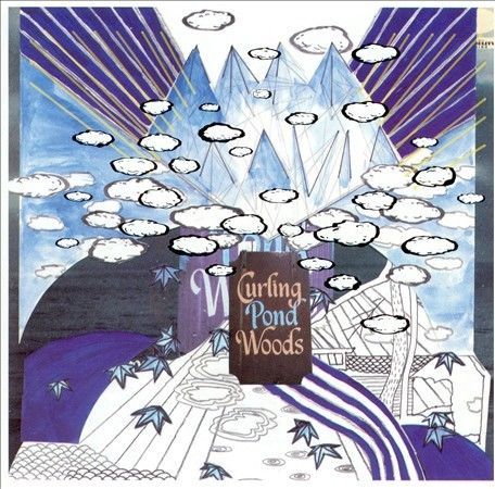 Curling Pond Woods by Greg Davis (Elec) (CD, Feb-2004, Carpark Records ...