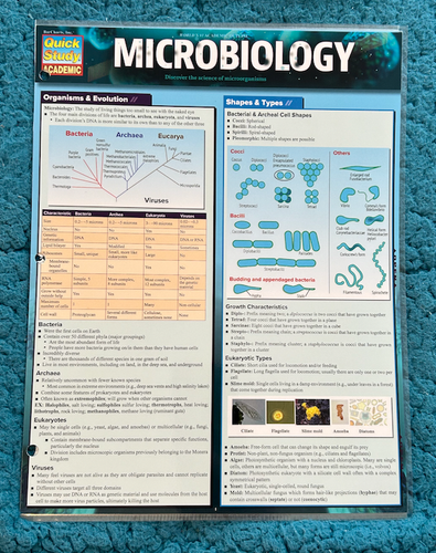 Microbiology : A QuickStudy Laminated 6-Page Reference Guide by Inc ...