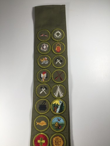 23 1960-70s Type F G and H Merit Badge Stamp collecting insect BSA Sash ...