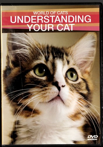 UNDERSTANDING YOUR CAT DVD Cats cats cats AND kittens | eBay