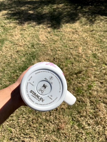 Stanley X 40 oz Tumbler Quencher - LOVE SHACK FANCY - RIBBON ROSA (Pink ...