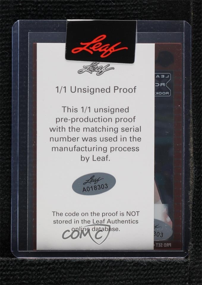 2021 Leaf Pro Set Metal 1989 Auto 1/1 Blaze Jordan #PA-BJ1 | eBay