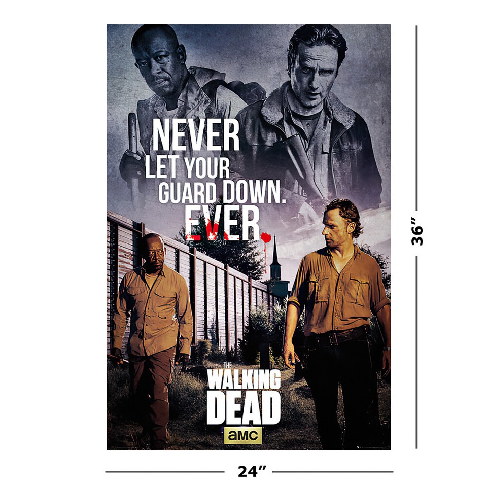 The Walking Dead - TV Show Poster / Print (Rick & Morgan) (Size: 24" X ...