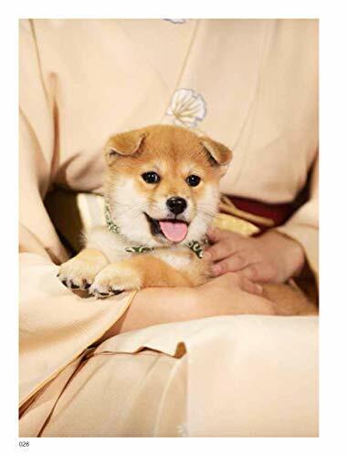 Nidaime Wafu Sohonke Ouchi No Mamesuke Official Photo Book (art Book ...