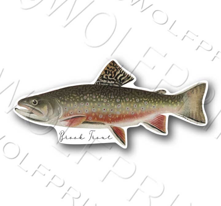 Rainbow Trout Fish Sticker 6" or 11" Wide Walleye Bass Boat Car Window ...