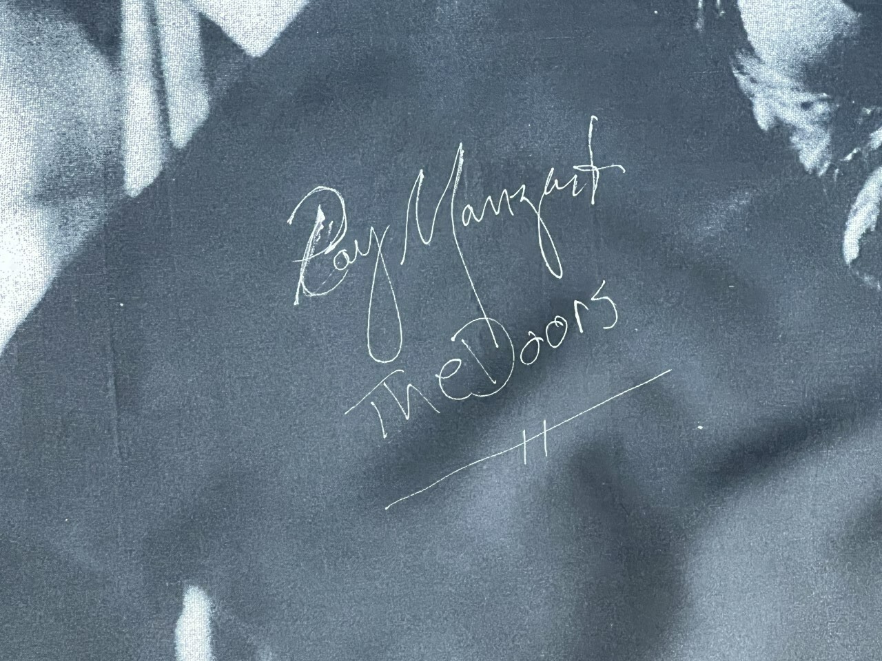 RARE THE DOORS Fea. Ray Manzarek Signed Autograph Landscape Poster Flag ...