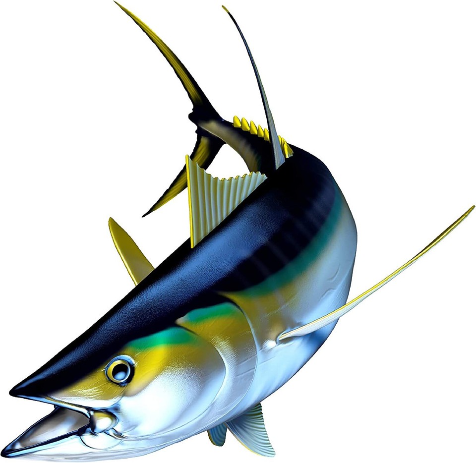Yellowfin Tuna Vinyl Sticker Fish Decals for Boat Car Vehicle Truck ...