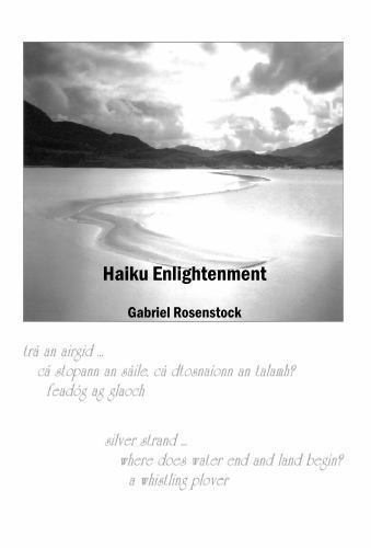 Haiku Enlightenment by Gabriel Rosenstock (2009, Hardcover) for sale ...