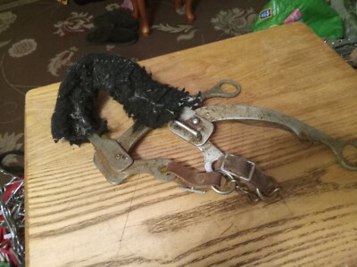 Used Mechanical Hackamore | eBay