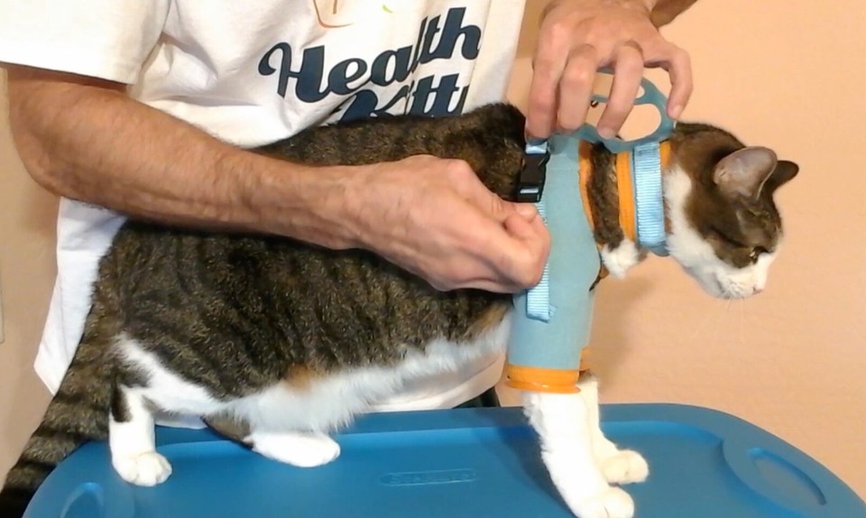 Cat Restraint, Cat Grooming Restraint, Cat Bathing Restraint ...
