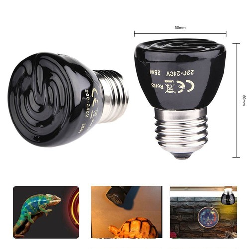 Mini Basking Sun 20-100W Reptile Bulb Brooder Light AC110V 220V Heating ...
