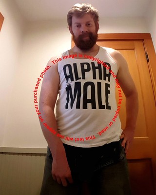 Bearded Bear Wearing an Alpha Male Tanktop | eBay
