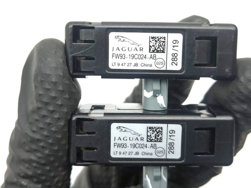 Land Rover Evoque II 2020 Lot Amplificateur D'Antenne de Signal ...