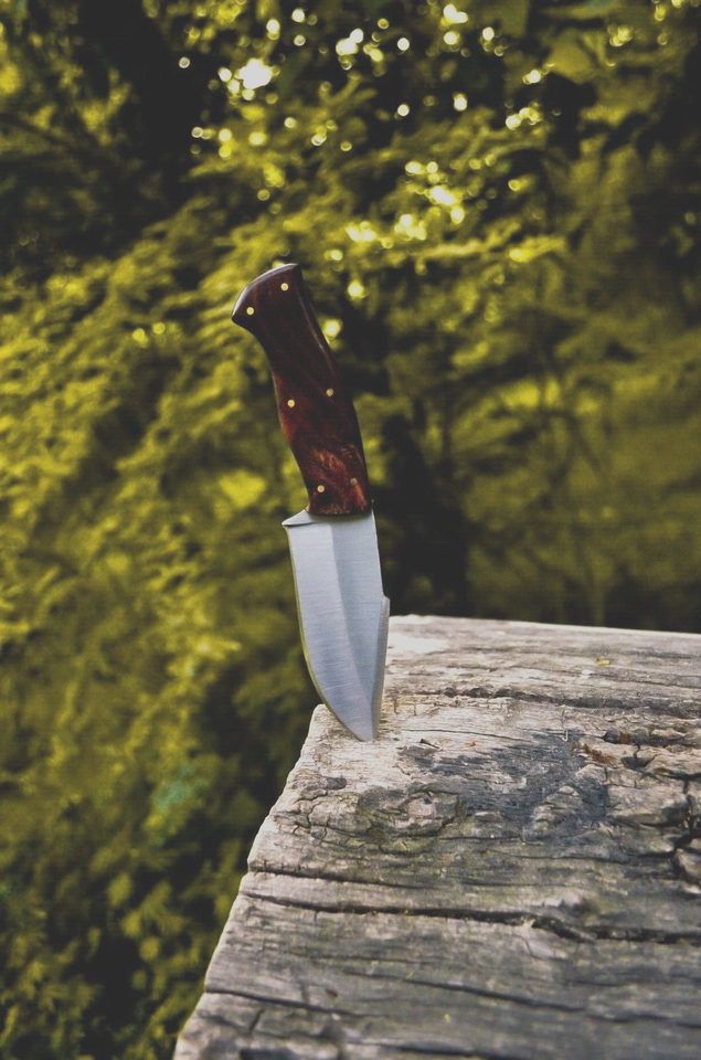 Small Hunting Knife Bowie Sharp Fixed Blade Camping Military Outdoor ...