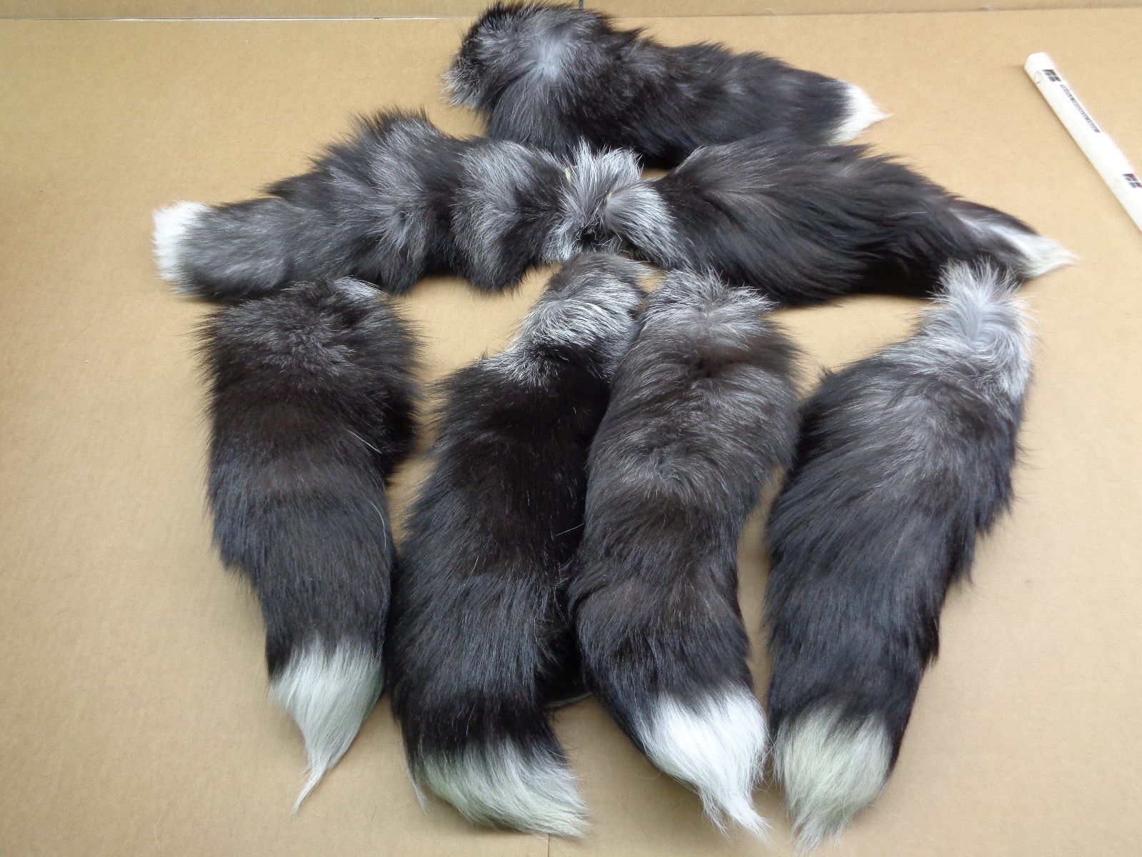 1 XXL Tanned Silver Fox Tail/Crafts/100% USA Real Fur/Purse | eBay