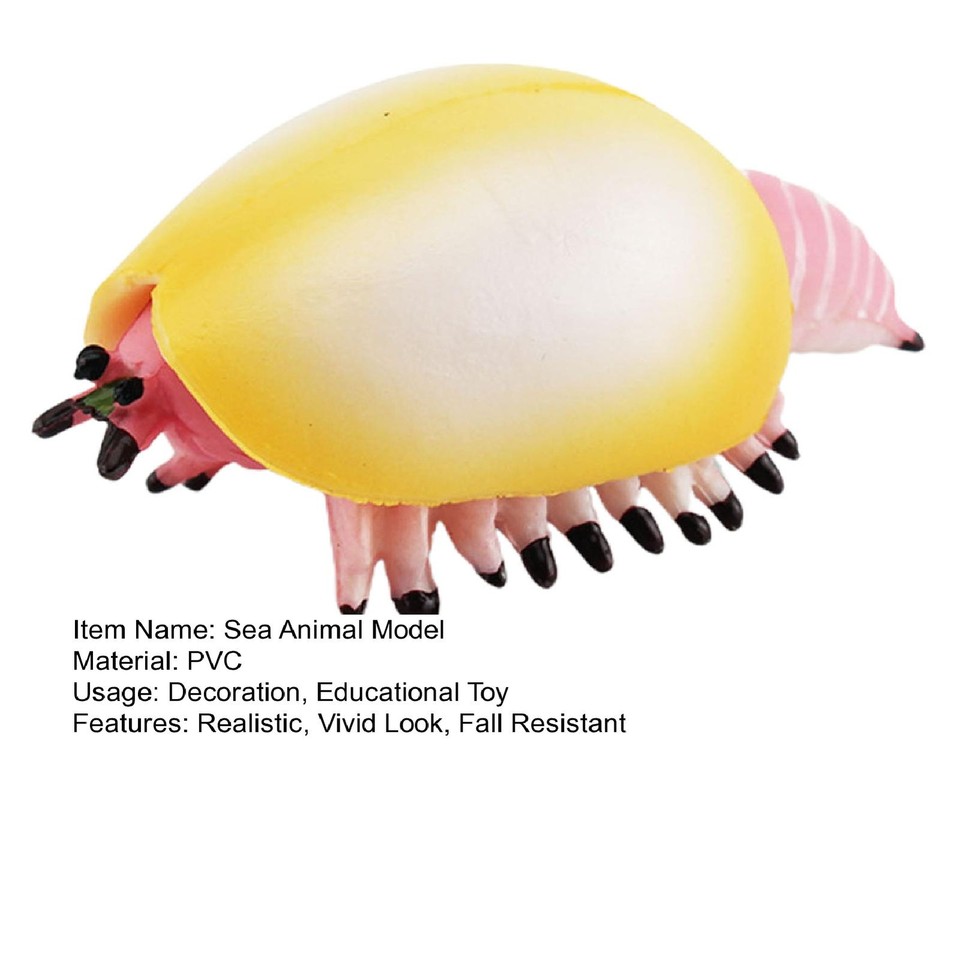 Cambrian Animal Model Vivid Look Early Learning Sea Life Statue ...