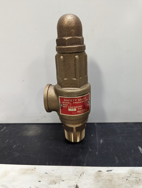 Merrill Relief Valve 1" Well Pump PRVHDNL100 for sale online | eBay