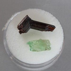 THE COLLECTOR SHOWCASE | eBay Stores