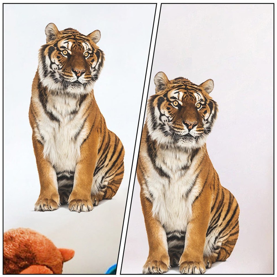 2 Pcs Creative Tiger Decal Indoor Wall Adornment Cartoon Sticker | eBay UK