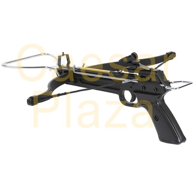 80lb Draw Metal Crossbow Pistol Extra Arrows Hunting Small Game Archery ...