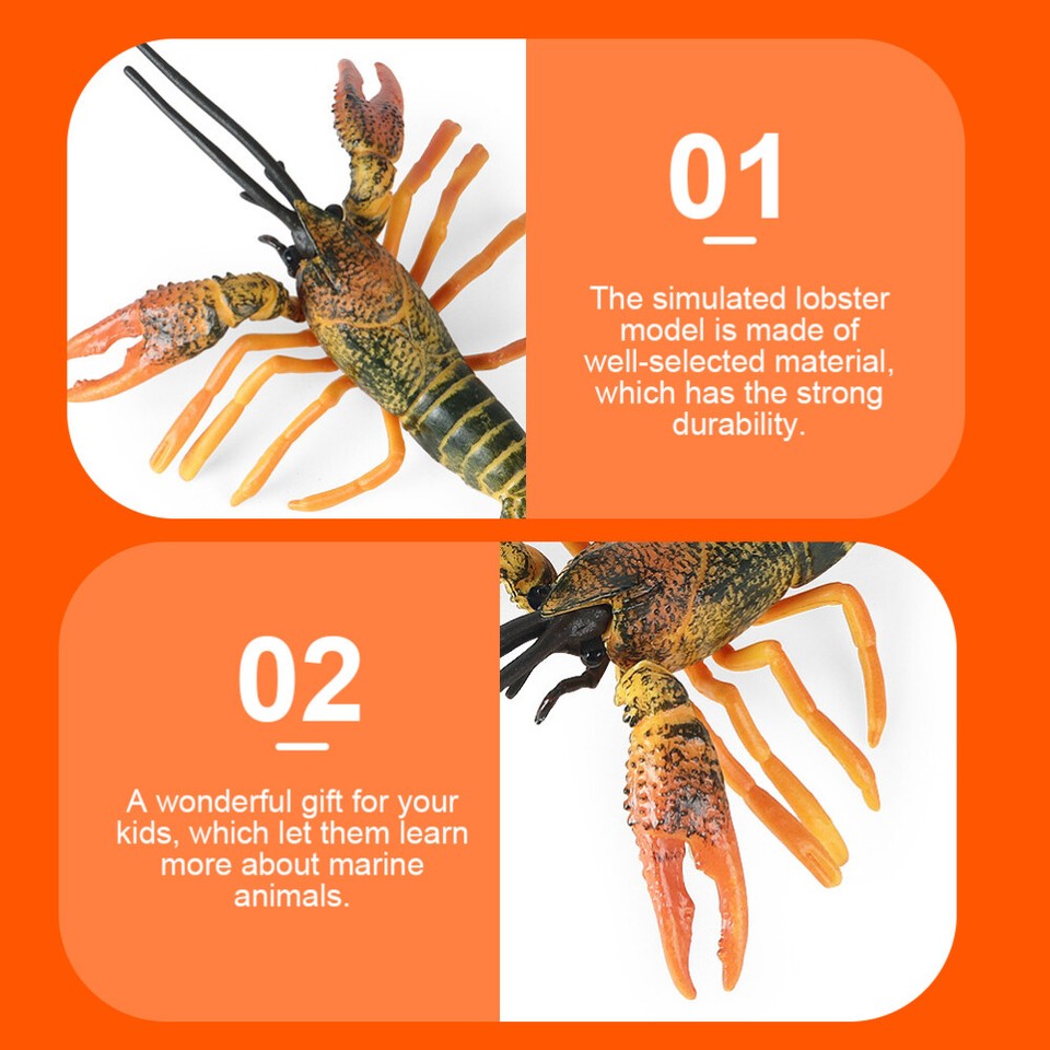 1PC Imitated Lobster Model Kids Education Cognitive Toy Sea Creature ...