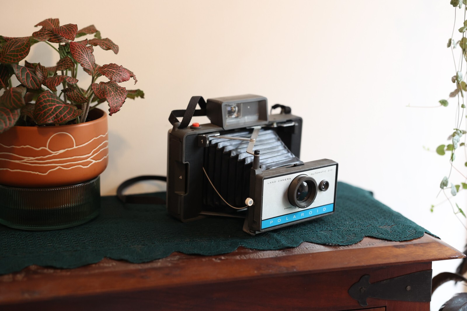 Vintage 60's Polaroid Land Camera Automatic 210 Instant Film Folding ...