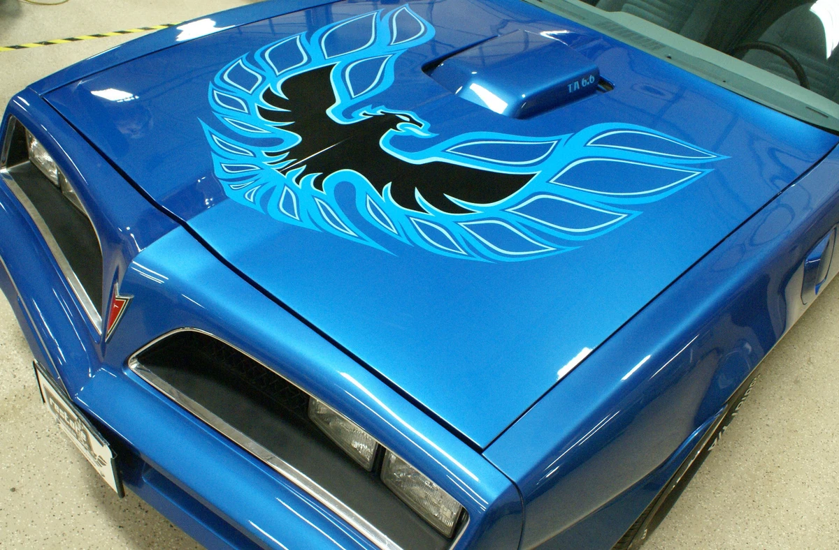 Blue Trans Am Bird
