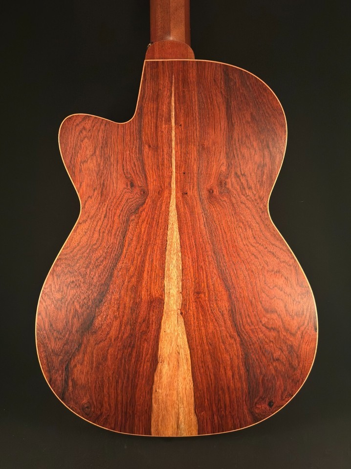 2001 Jamon Zeiler "California Condor" Acoustic "Electric" Nylon String ...