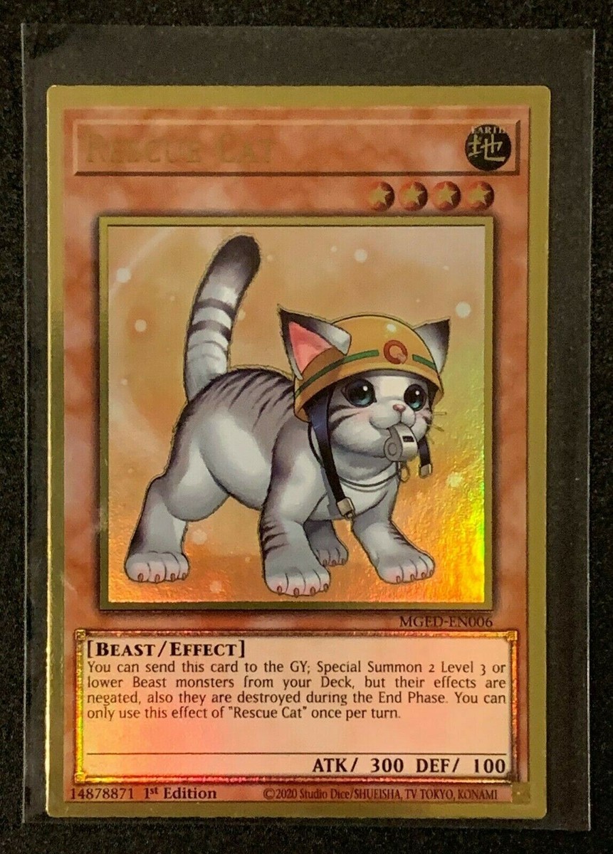 Yugioh Rescue Cat