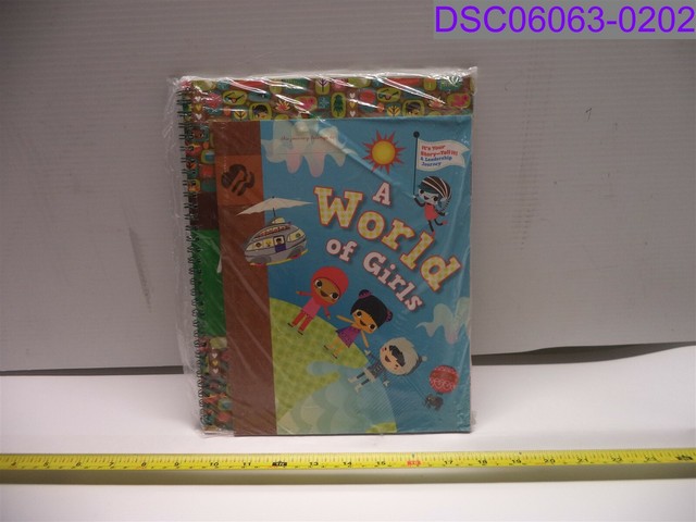 a World of Girls Brownie Girl Scout Journey Leader Book How to Guide ...