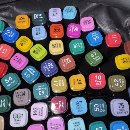 168 Colors Set Dual Tip Alcohol Markers Dual Tip Pens for Artist Broad ...