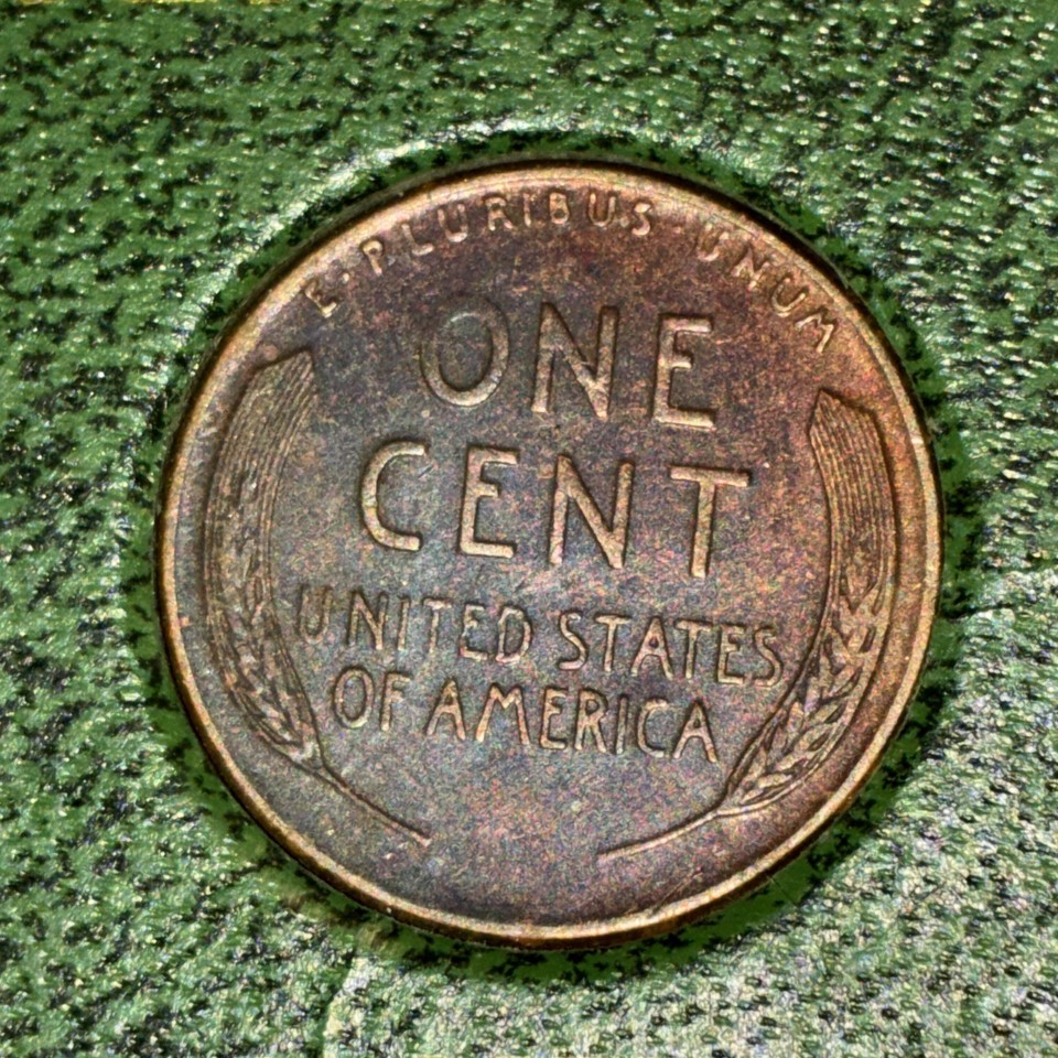 1955 P LINCOLN Wheat CENT • #GR1015 • Buy 10 Get 40% Off | eBay