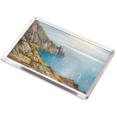 JUMBO MAGNET - Vintage Devon - Torquay. Natural Arch and Torbay | eBay UK