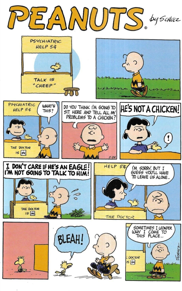 Peanuts Comic 13 First Print Cover A 2013 Charles Schulz Vicki Scott ...