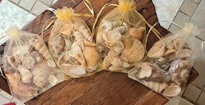 4 Satin Bags Of 15-20 Decorative Mixed Small & Medium Seashells. Weight ...