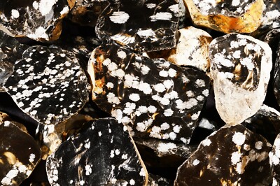 Snowflake Obsidian 2" 2-4 Oz Root Chakra Healing Crystal Metaphysical ...