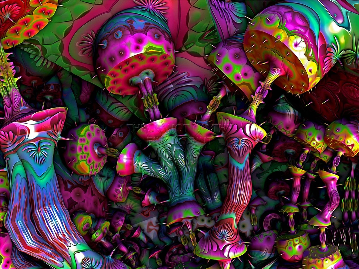 Psychedelic Posters Mushrooms