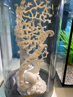 BiOrb White Fan Coral Ornament - Large Aquarium Fish Tank Decor | eBay UK