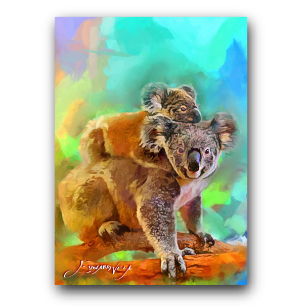 Koala Bear #2 Art Card Limited 2/50 Edward Vela Signed (Animals -) | eBay