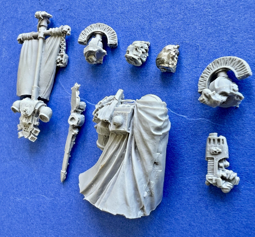 Victrix Captain Cato Sicarius (read) - OOP Resin | eBay