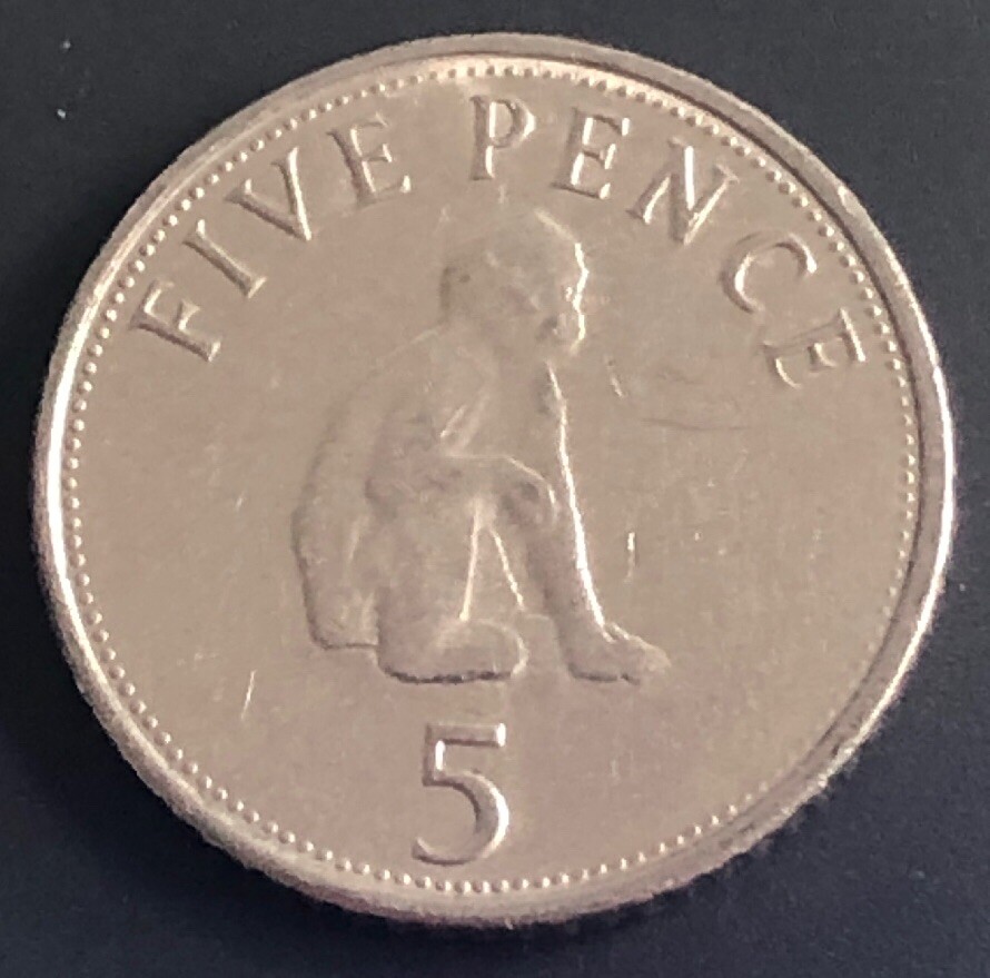 2009 Gibraltar 5p Five Pence Coin - Barbary Macaque Monkey, or Rock Ape ...