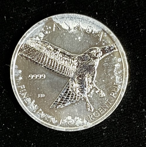 2015 Canadian Red-Tailed Hawk 1 oz .9999 Fine Silver Coin | eBay