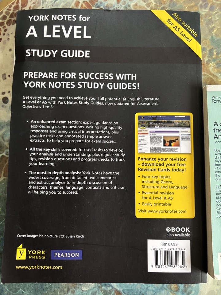 The Great Gatsby York Notes for A Level - Study and Revision Guide | eBay