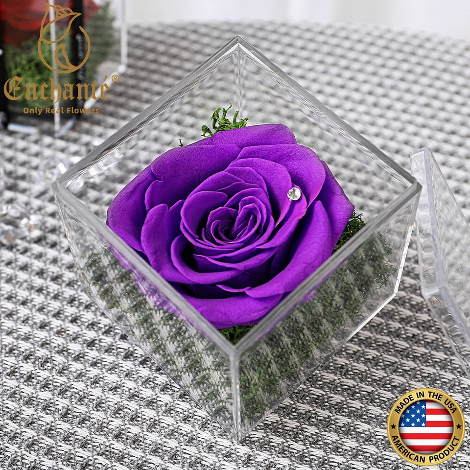 REAL Preserved Eternity Forever Rose Ring Box Proposal Valentine's Day ...