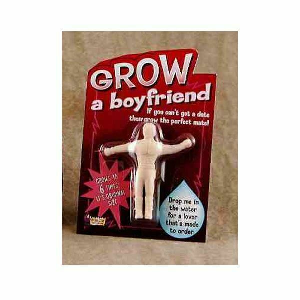 Forum Novelties Grow a Boyfriend Novelty - 56963 for sale online | eBay